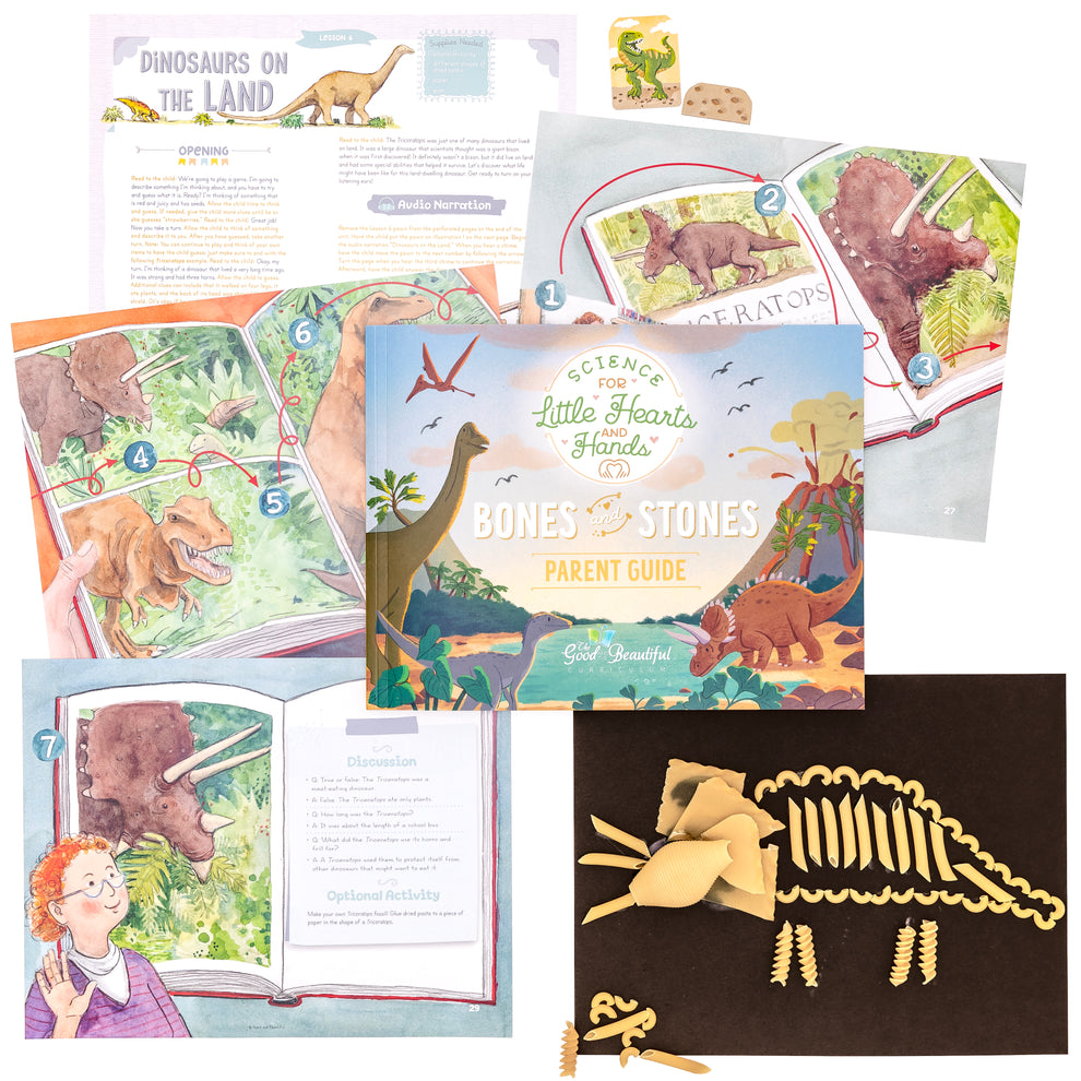 Bones and Stones Course Set | The Good and The Beautiful – The Good and the Beautiful