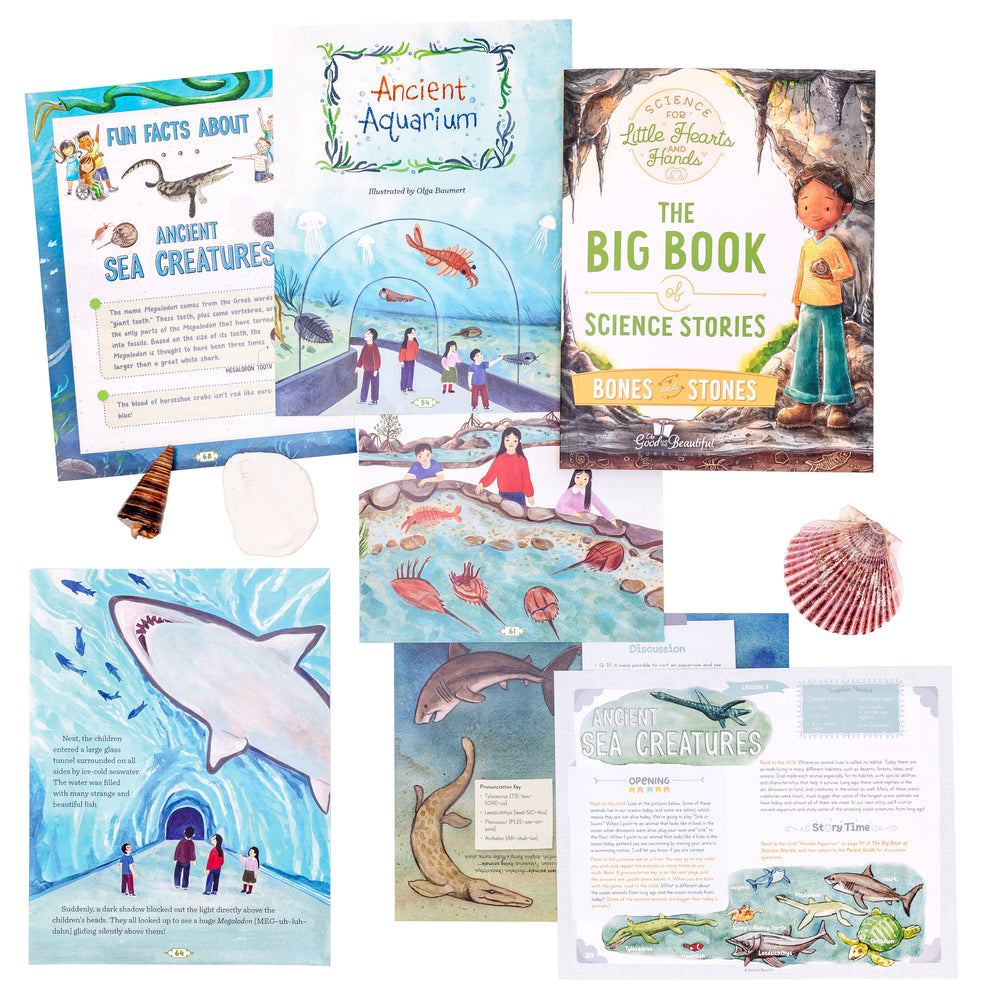 Bones and Stones Course Set | The Good and The Beautiful – The Good and the Beautiful