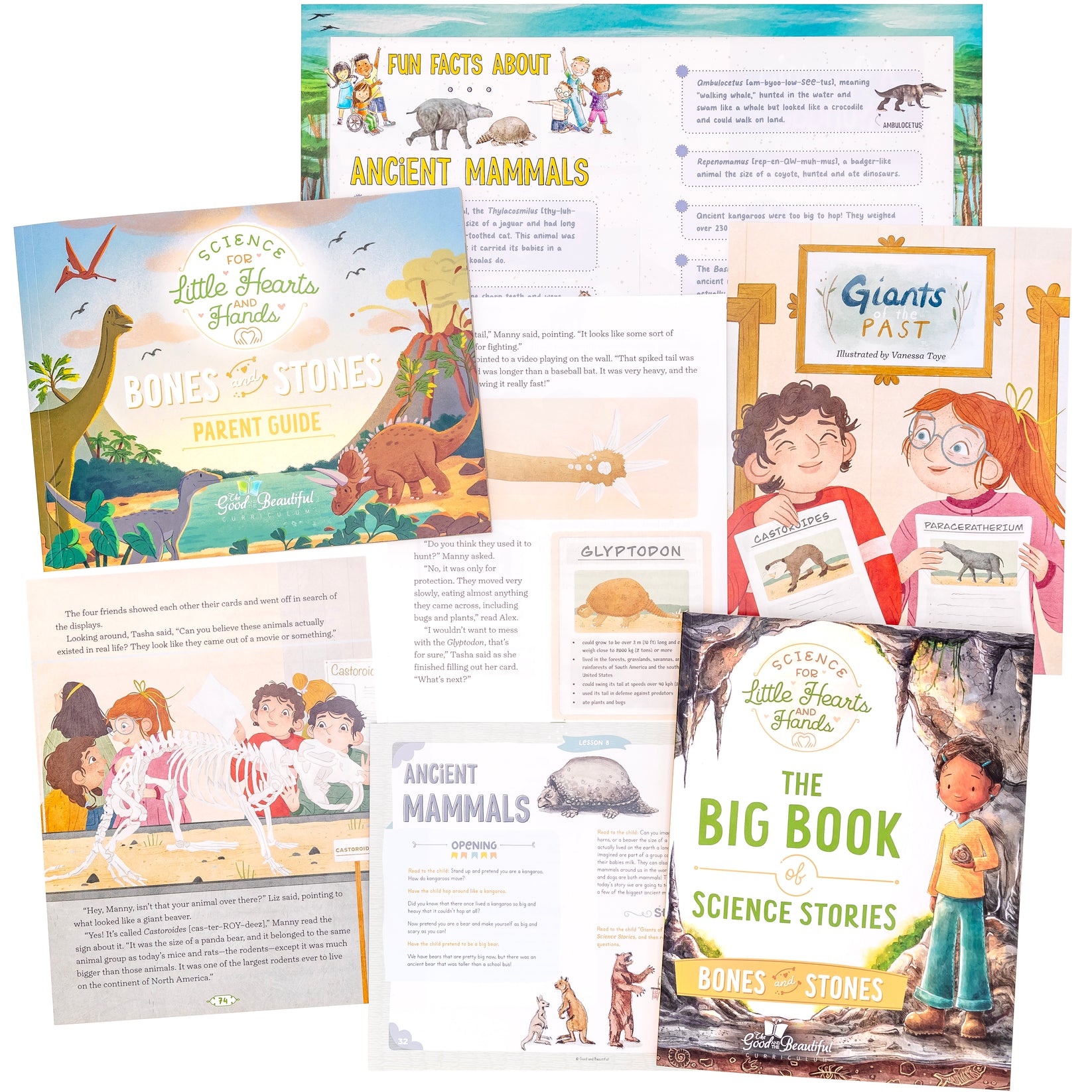 Bones and Stones Course Set | The Good and The Beautiful – The Good and ...