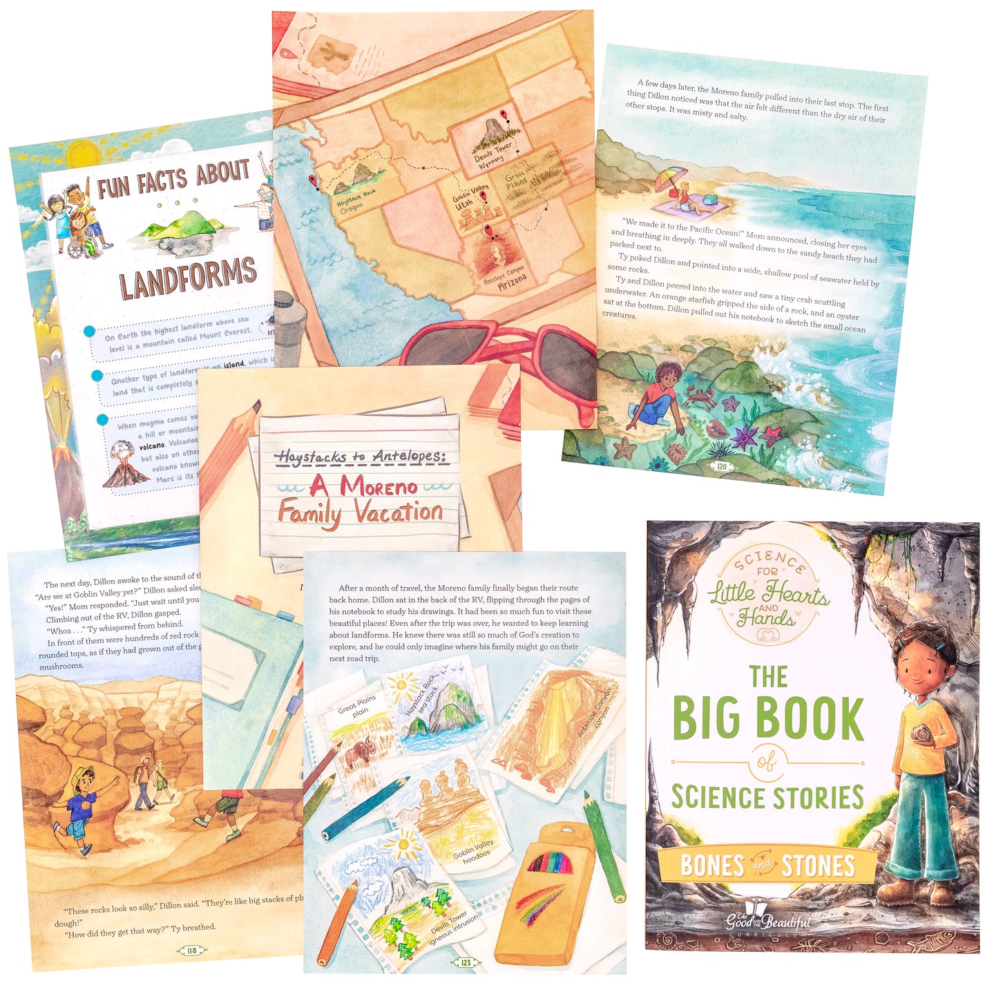 Bones and Stones Course Set | The Good and The Beautiful – The Good and the Beautiful