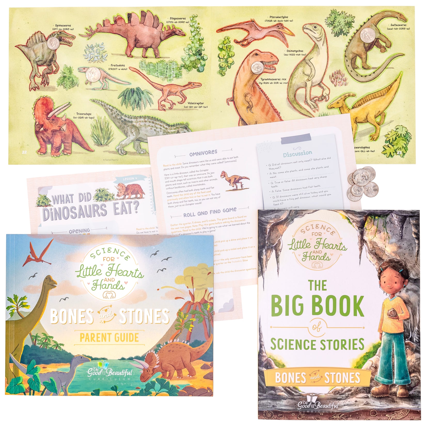 Bones and Stones Course Set | The Good and The Beautiful – The Good and the Beautiful