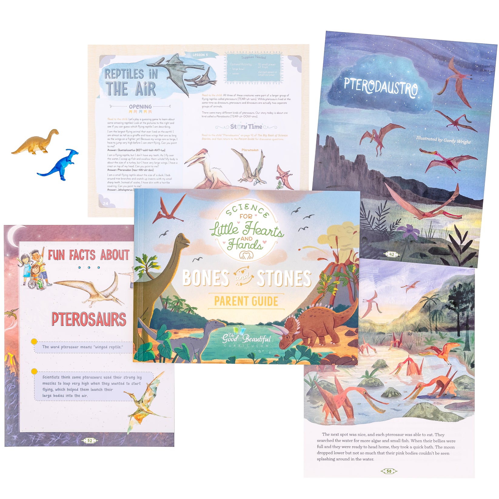 Bones and Stones Course Set | The Good and The Beautiful – The Good and the Beautiful