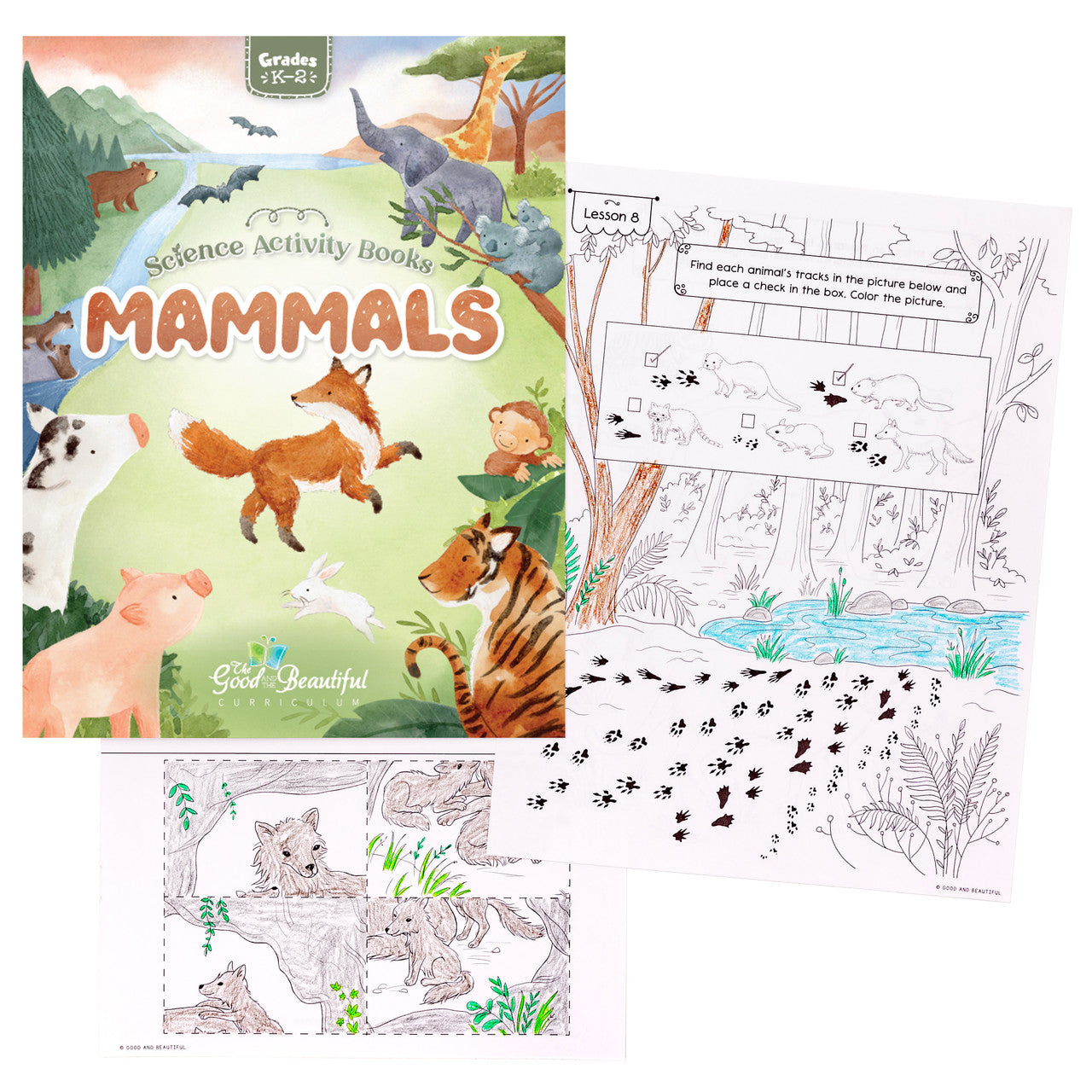 Mammals: Science Activity Book – The Good and the Beautiful