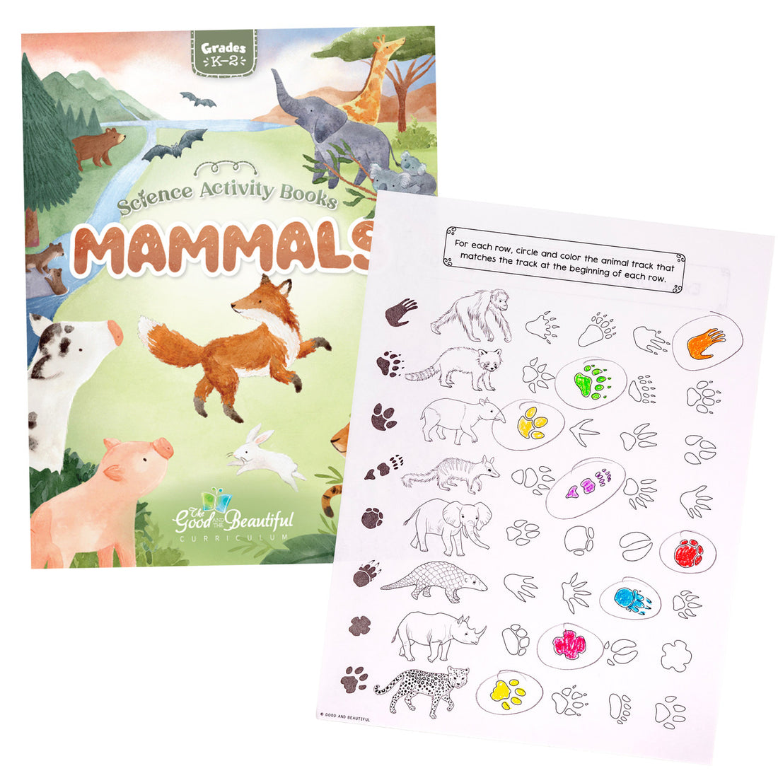 Mammals: Science Activity Book – The Good and the Beautiful