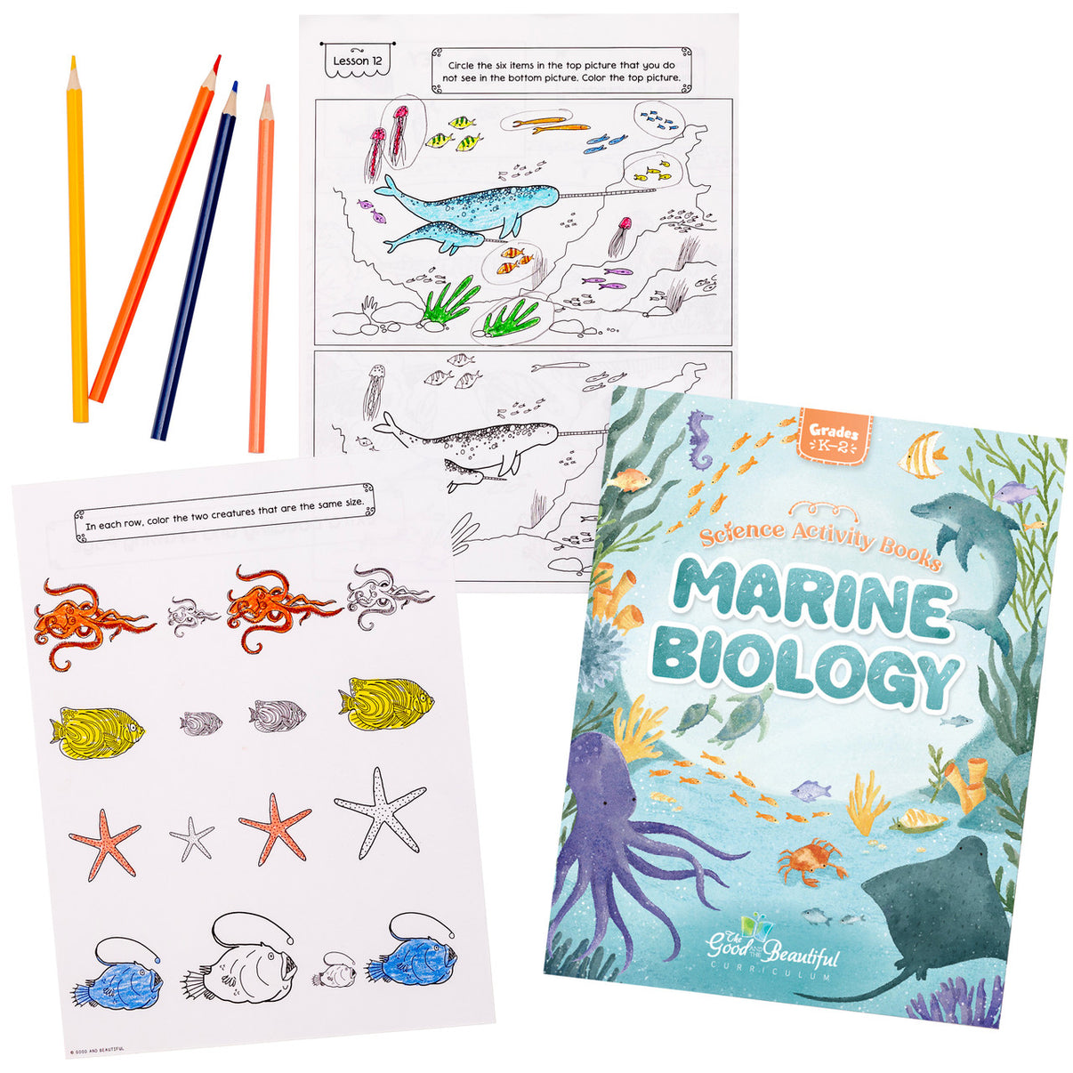 Marine Biology: Science Activity Book – The Good and the Beautiful
