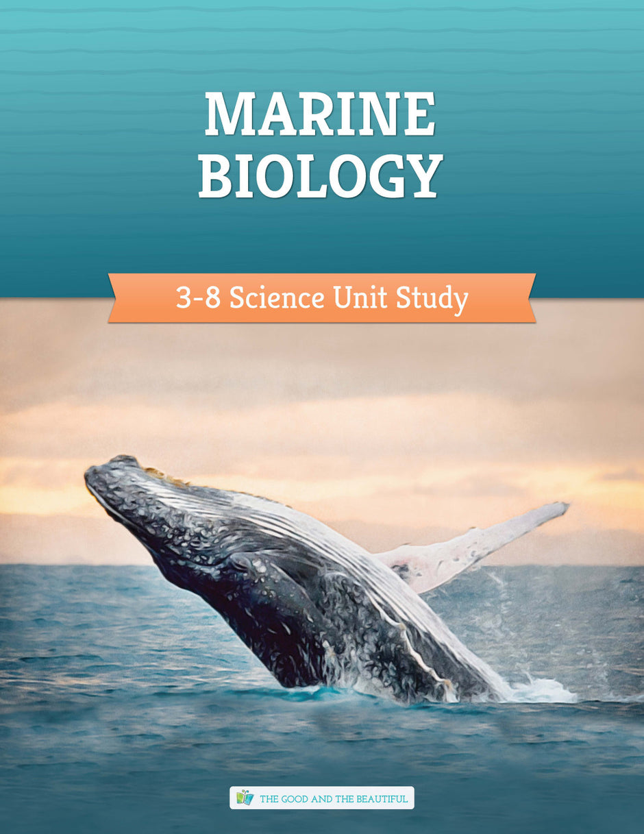 Free Downloads Marine Biology – The Good and the Beautiful
