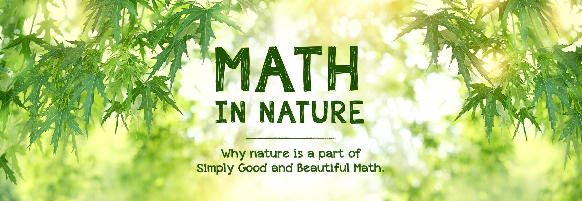 Math in Nature: It's Stunning! | The Good and the Beautiful