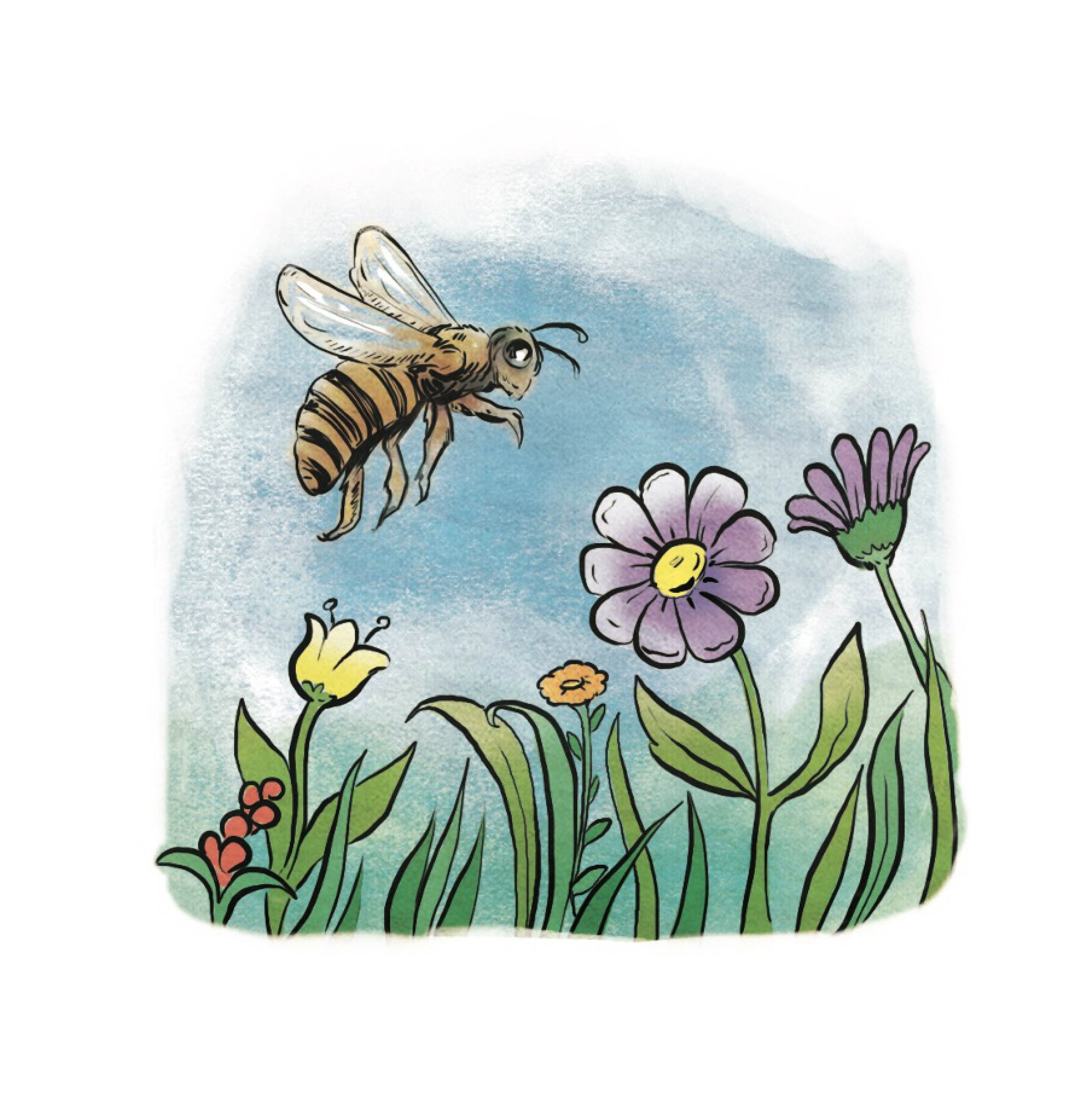 Nature Poetry for Kids | The Good and the Beautiful