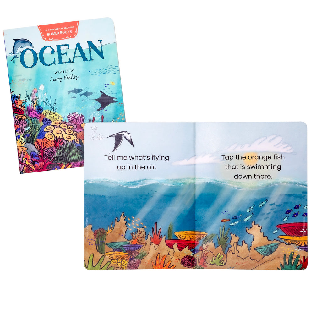 Ocean Board Book: by Jenny Phillips – The Good and the Beautiful