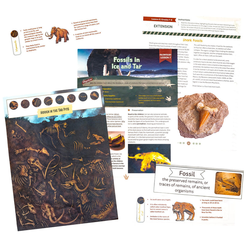 Paleontology – The Good and the Beautiful