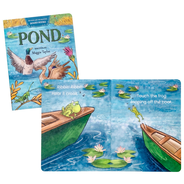 Pond Board Book: by Maggie Taylor – The Good and the Beautiful