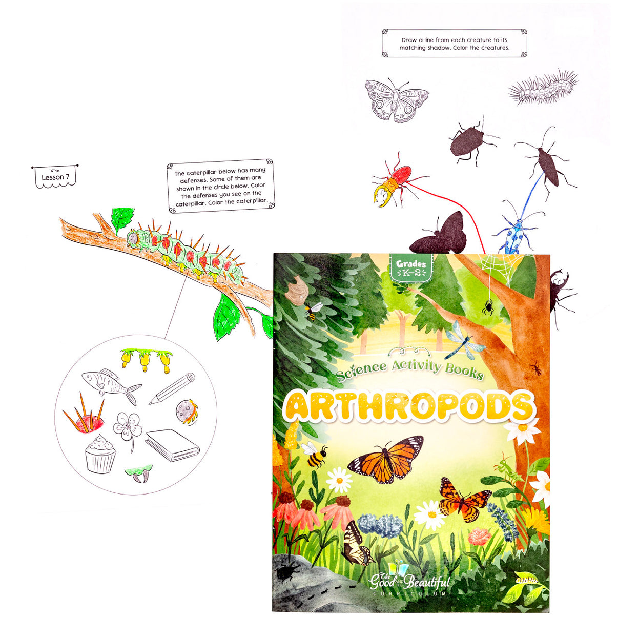 Science Activity Books – The Good and the Beautiful