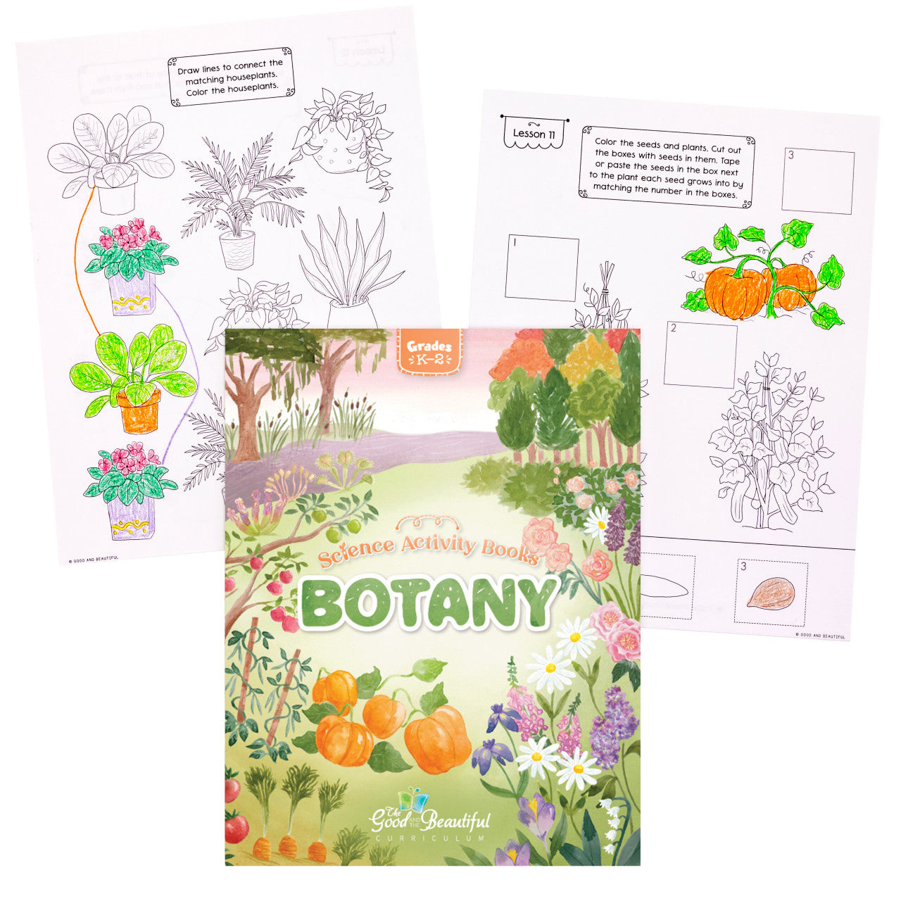 Botany: Science Activity Book – The Good and the Beautiful