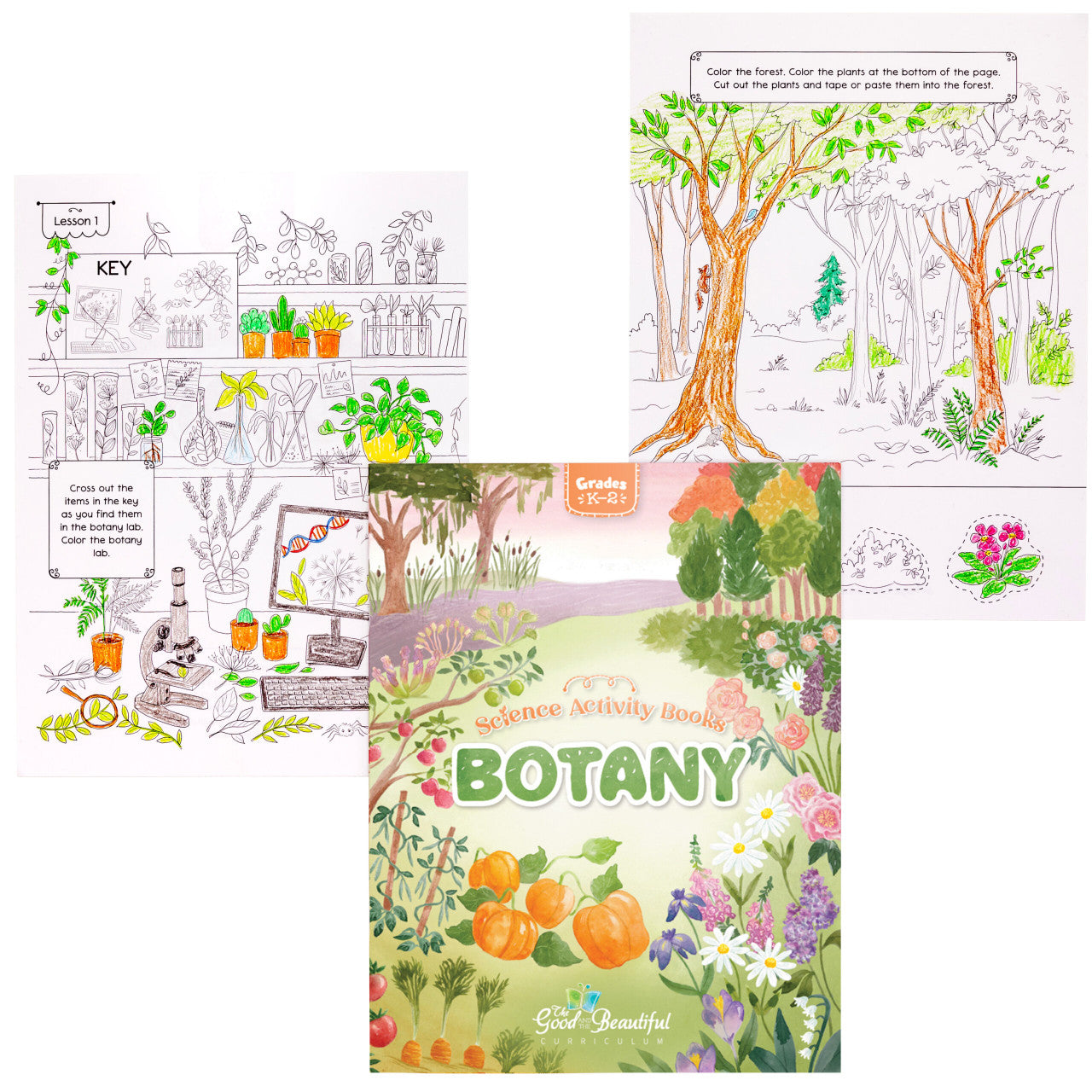 Botany: Science Activity Book – The Good and the Beautiful