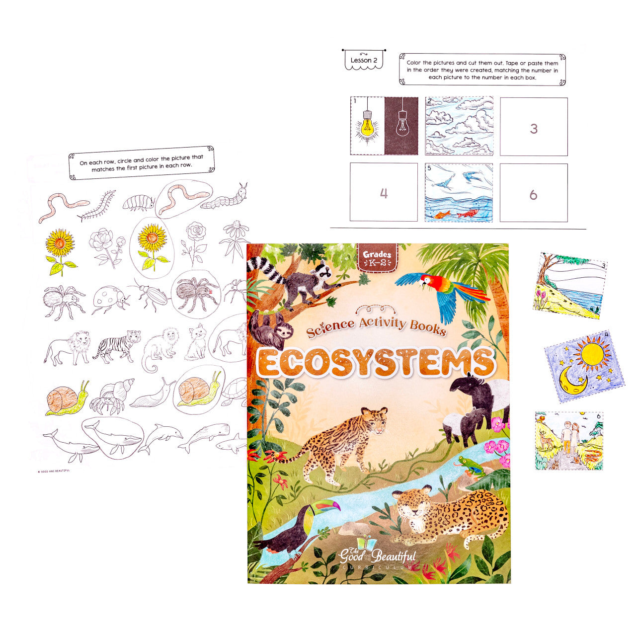 Ecosystems: Science Activity Book – The Good and the Beautiful