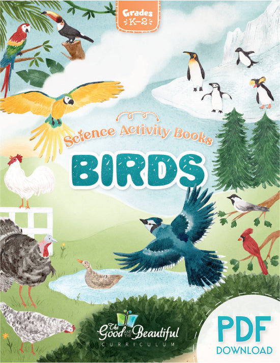 Birds (PDF): Science Activity Book – The Good and the Beautiful