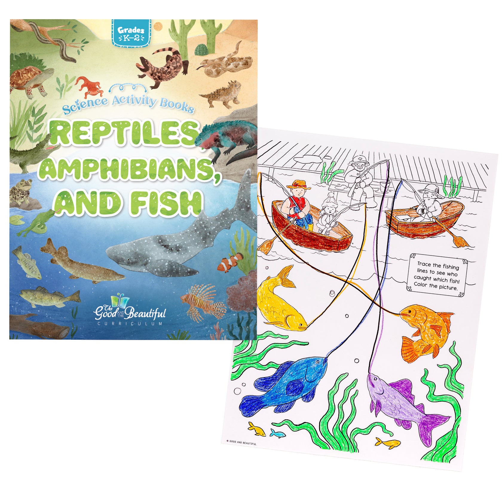 Reptiles, Amphibians, and Fish: Science Activity Book – The Good and ...