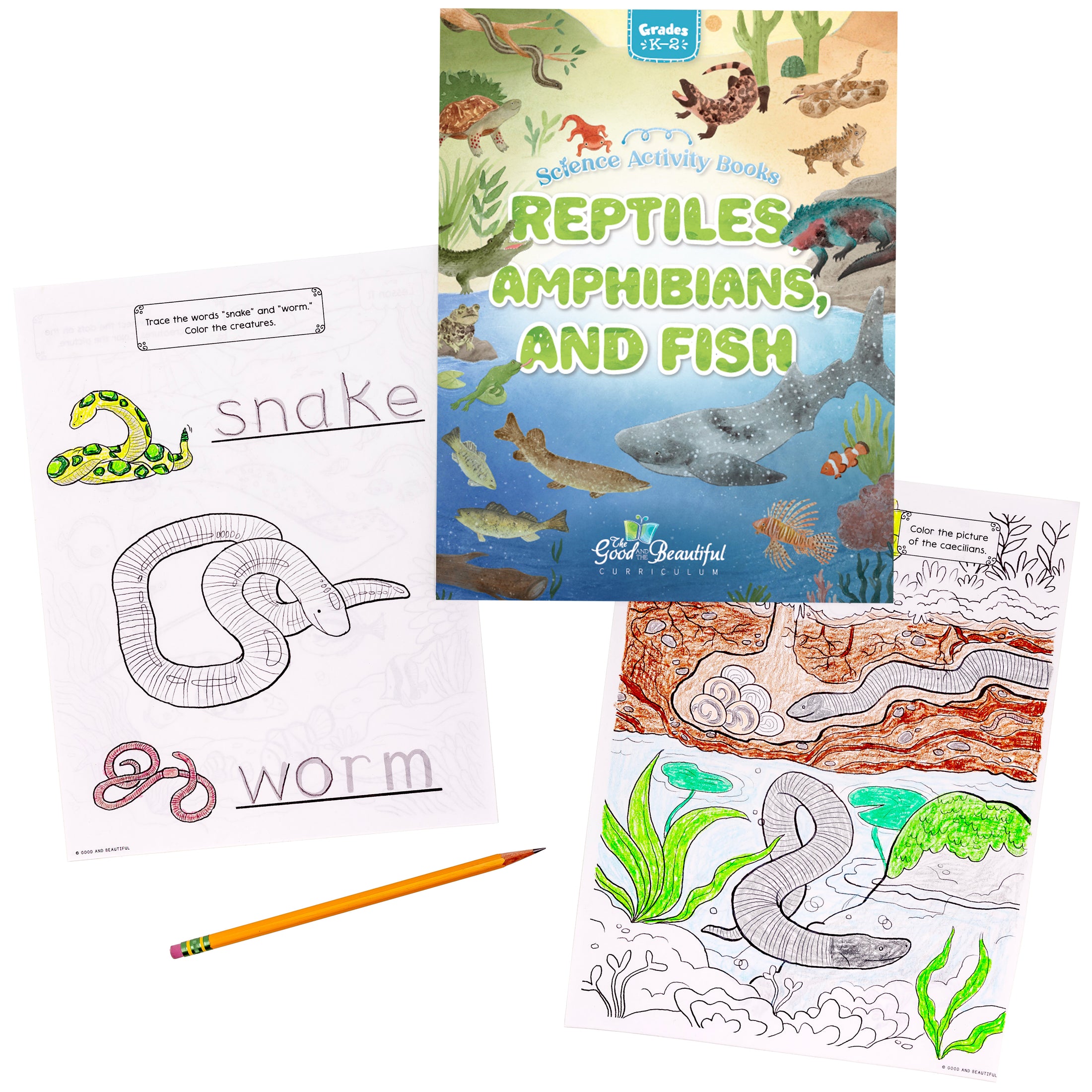 Reptiles, Amphibians, and Fish: Science Activity Book – The Good and ...
