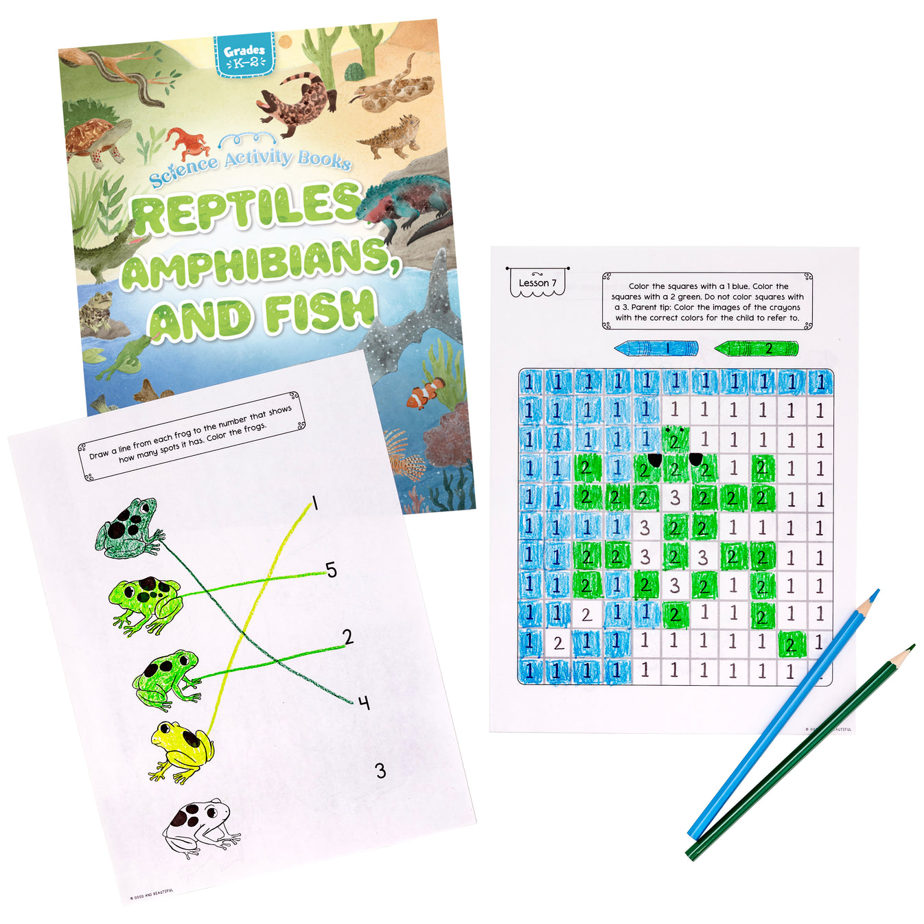 Reptiles, Amphibians, and Fish: Science Activity Book – The Good and ...