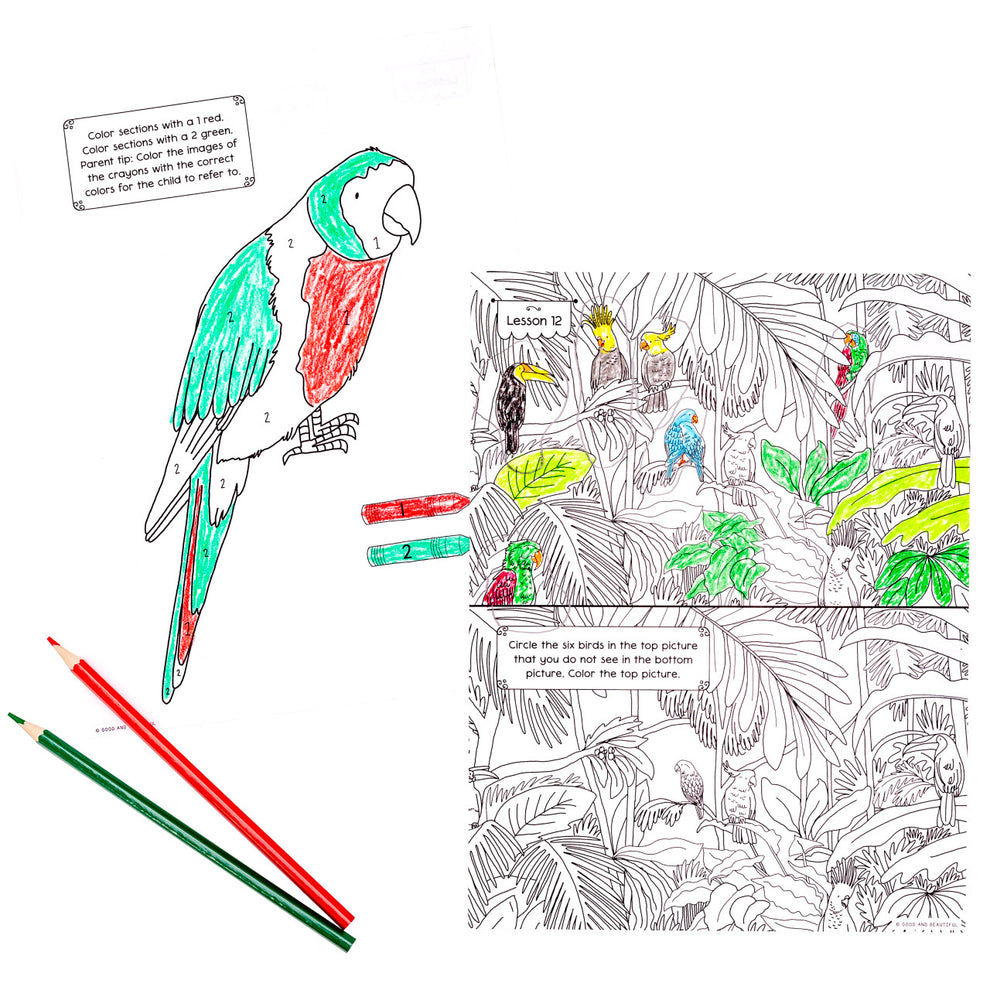 Birds: Science Activity Book – The Good and the Beautiful