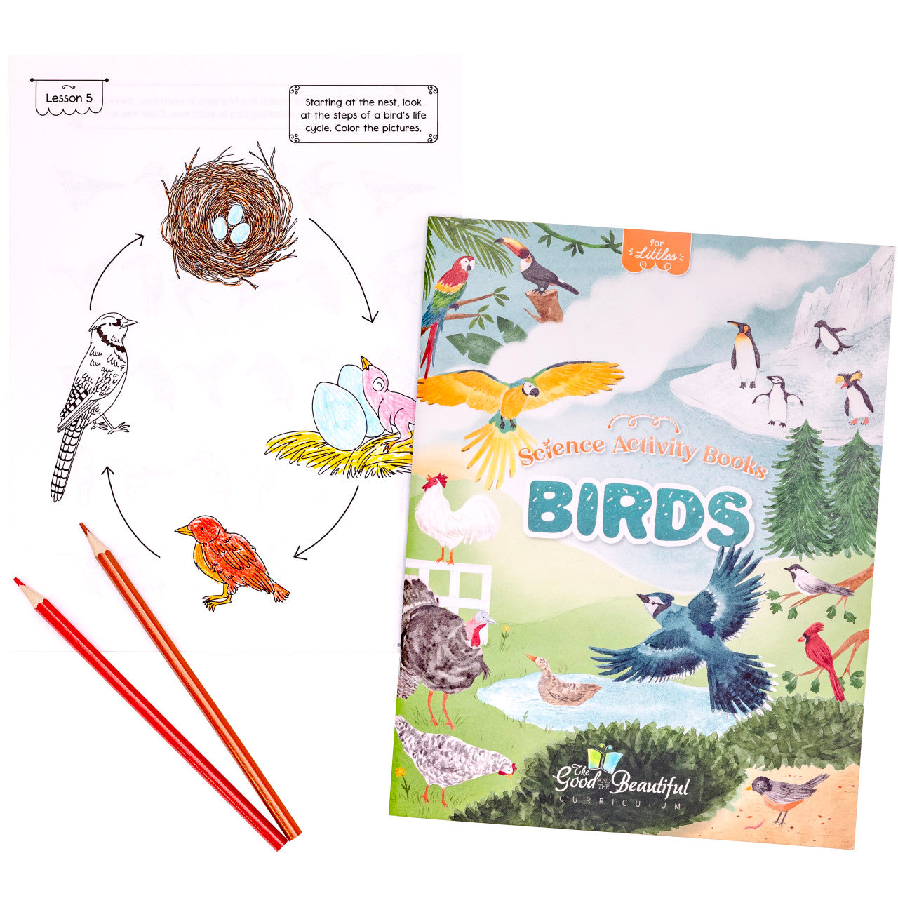 Birds: Science Activity Book – The Good and the Beautiful