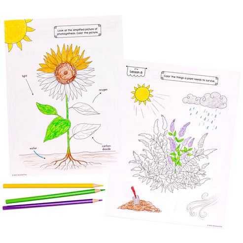Botany: Science Activity Book – The Good and the Beautiful
