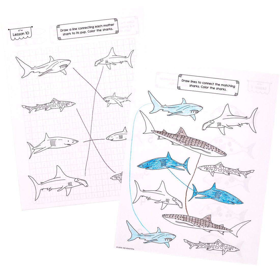 Marine Biology: Science Activity Book – The Good and the Beautiful