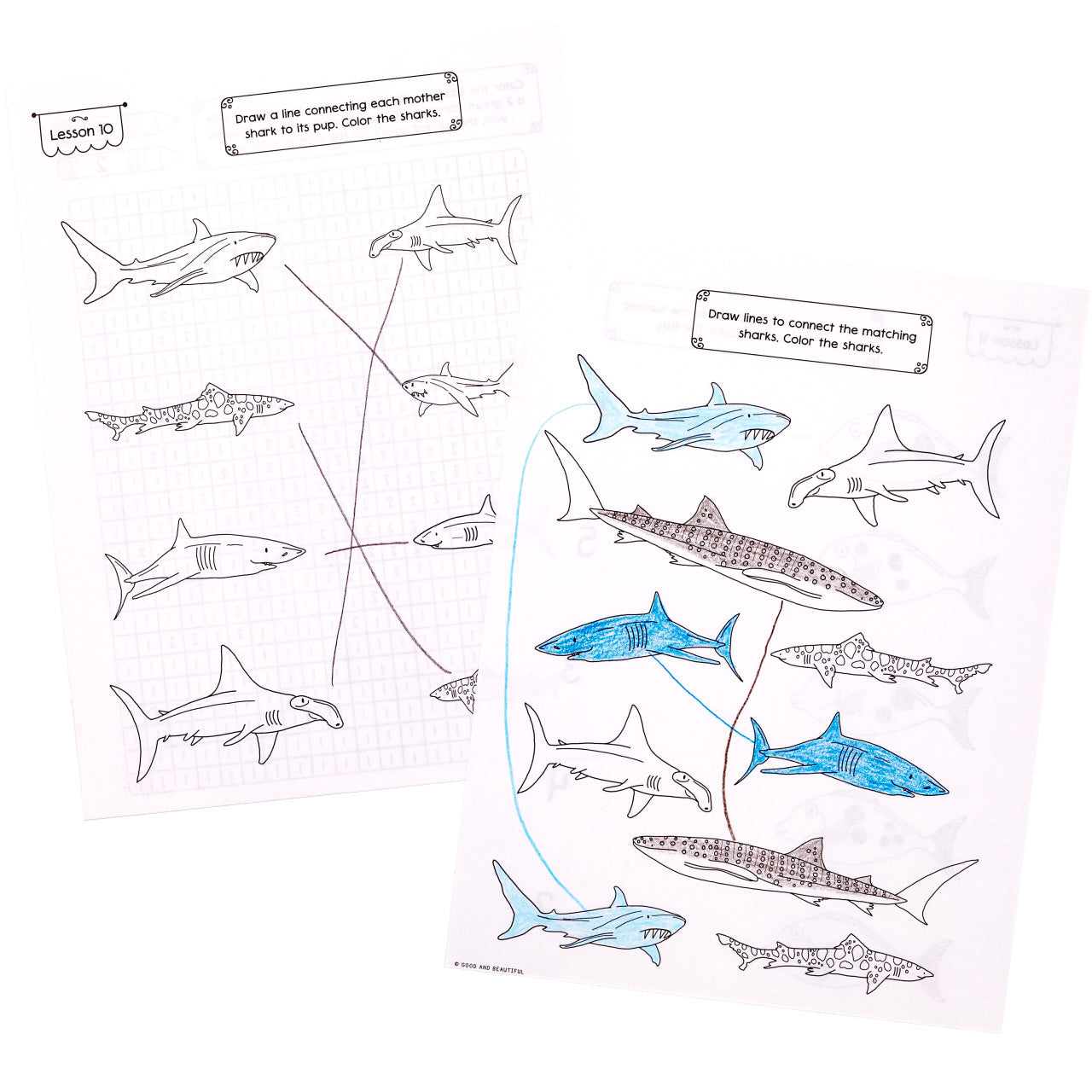 Marine Biology: Science Activity Book – The Good and the Beautiful