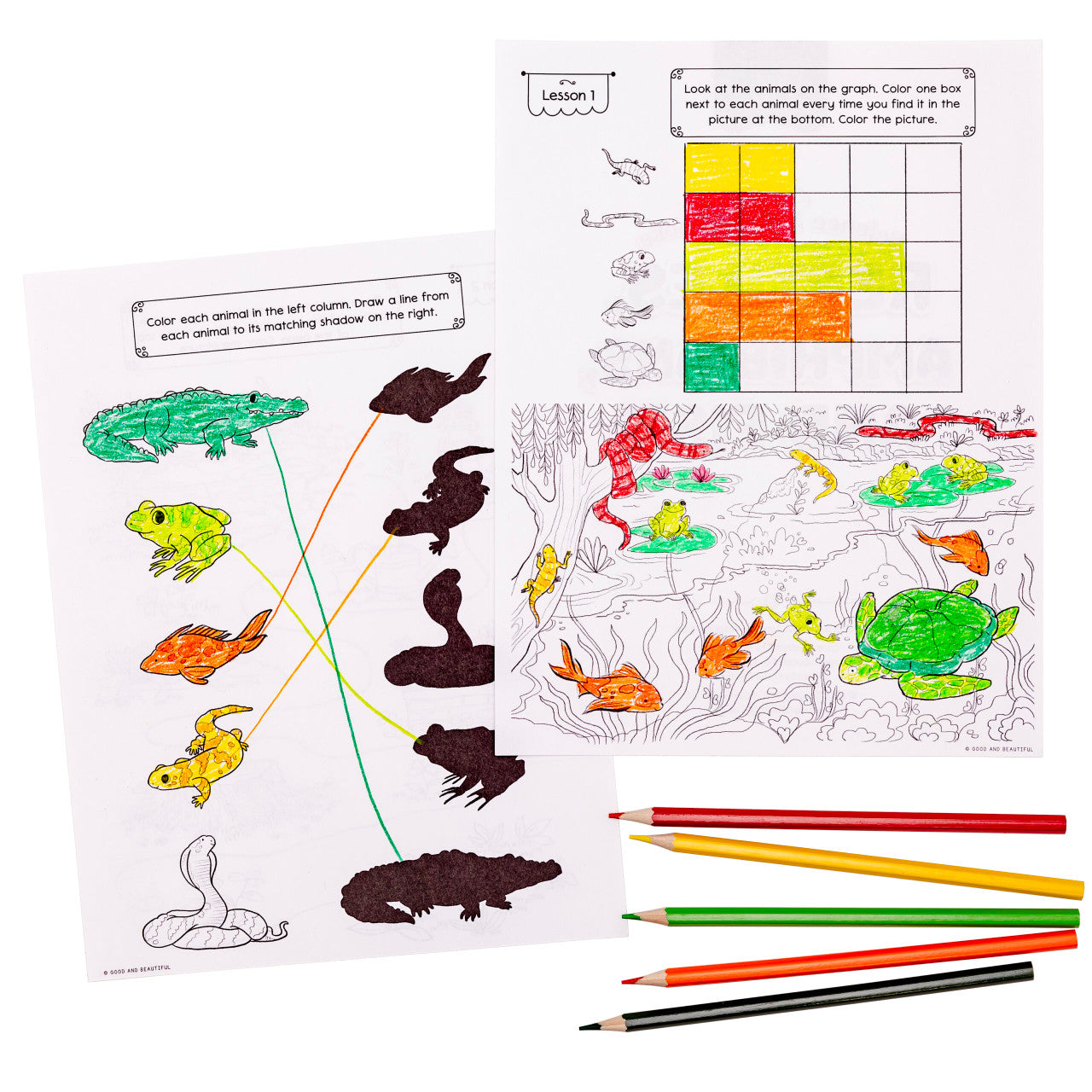 Reptiles, Amphibians, and Fish: Science Activity Book – The Good and ...