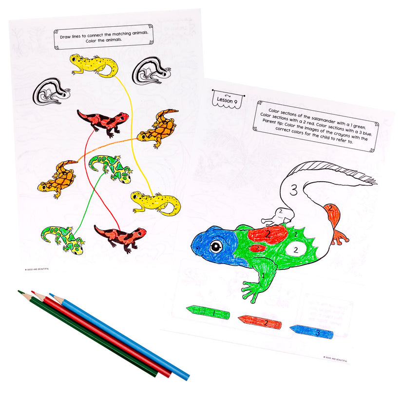 Reptiles, Amphibians, and Fish: Science Activity Book – The Good and ...