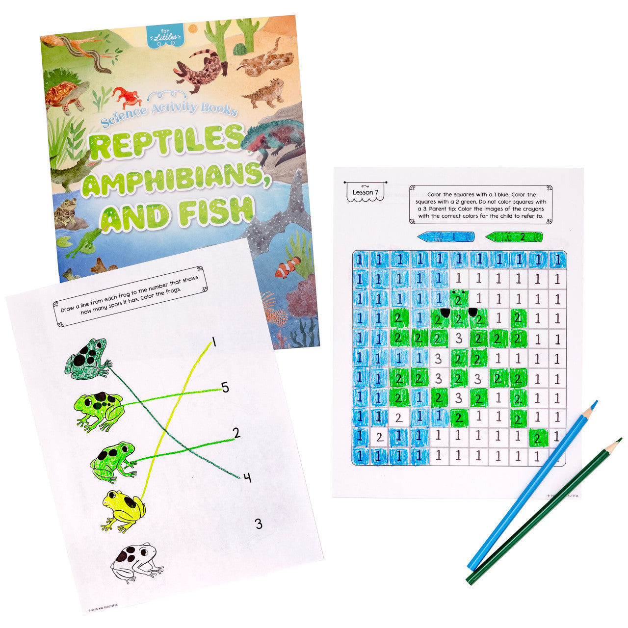 Science Activity Books – The Good and the Beautiful