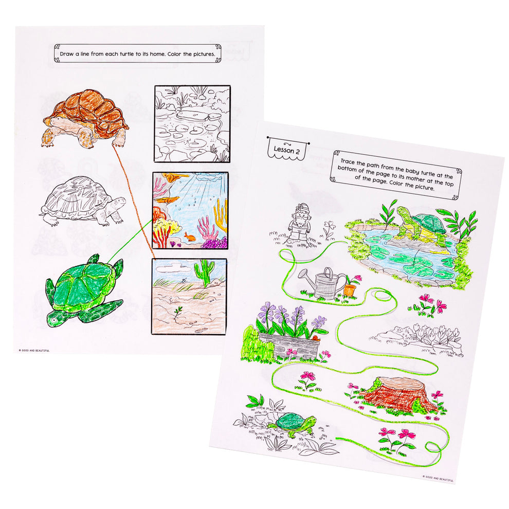 Reptiles, Amphibians, and Fish: Science Activity Book – The Good and ...