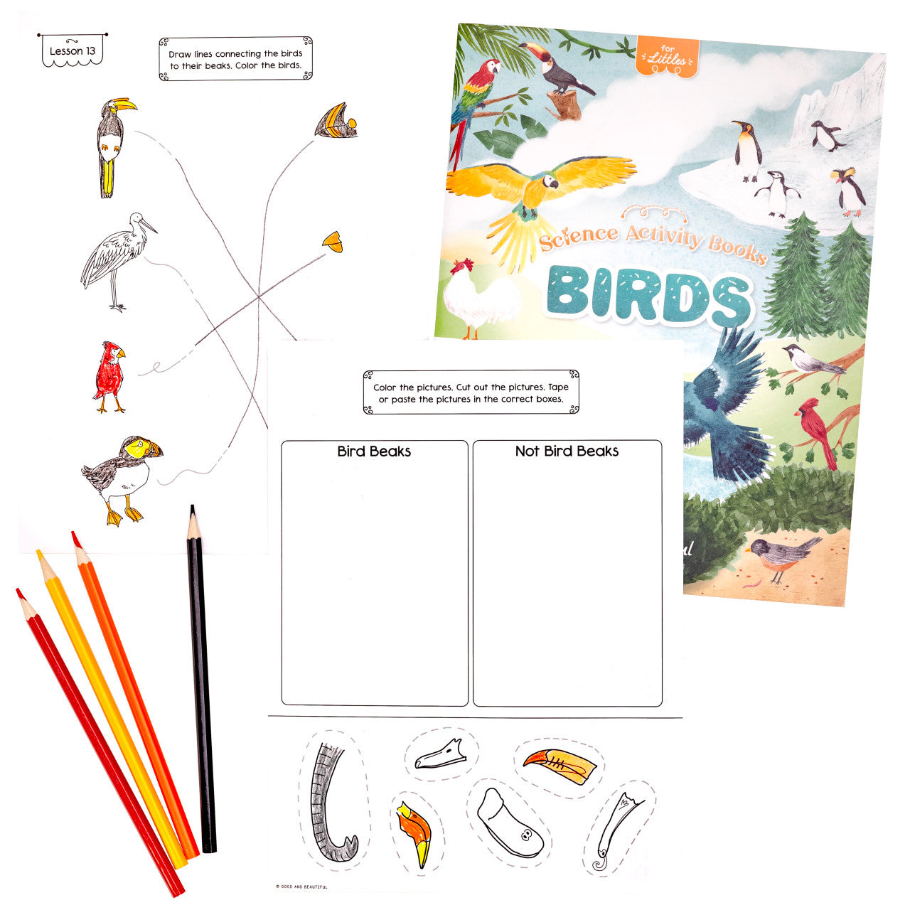 Birds: Science Activity Book – The Good and the Beautiful