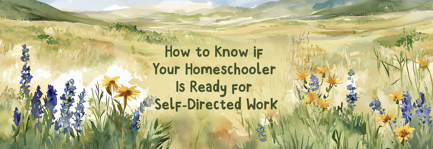 How to Know if Your Homeschooler Is Ready for Self-Directed Work – The ...