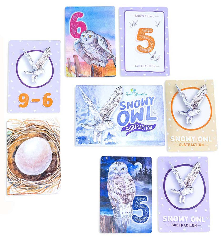 Snowy Owl Subtraction – The Good and the Beautiful