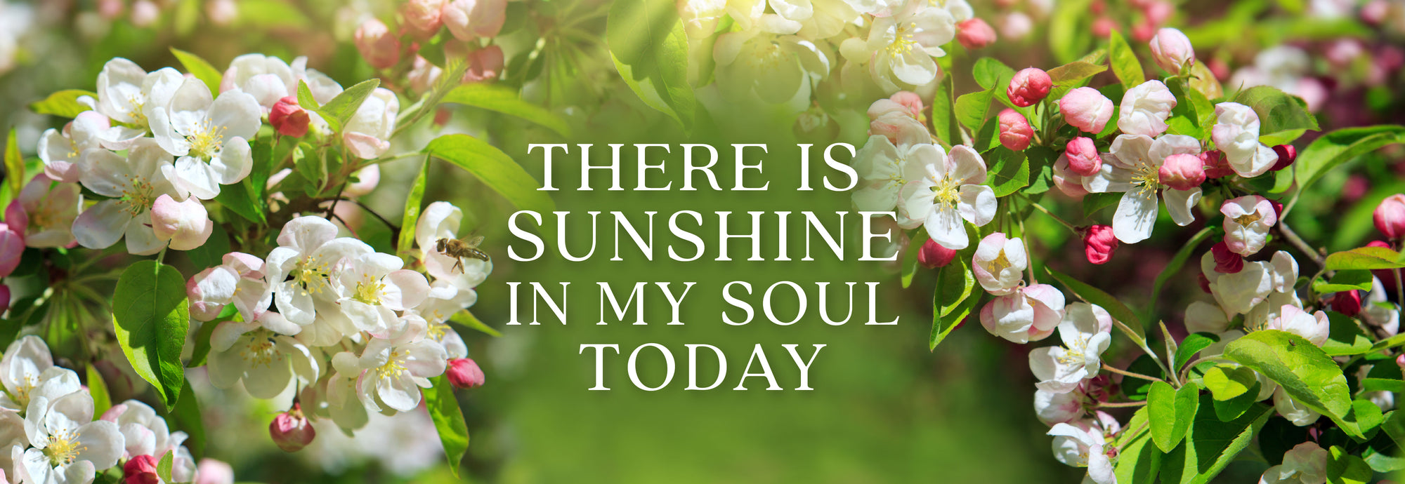 There Is Sunshine in My Soul Today – The Good and the Beautiful