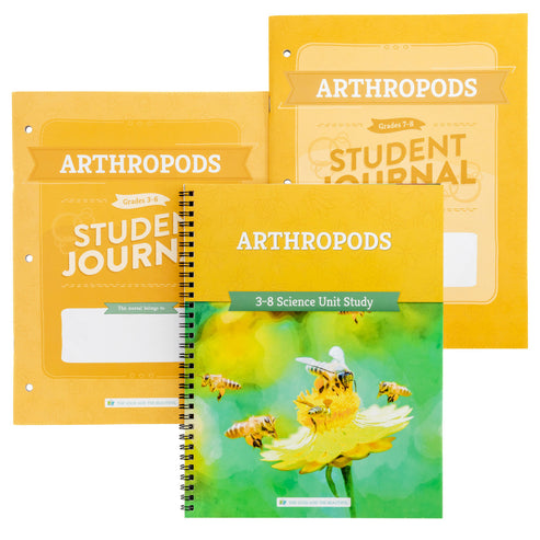 Arthropods – The Good and the Beautiful