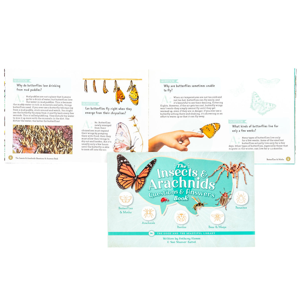 The Insects and Arachnids Questions & Answers Book: by Anthony Klemm a ...