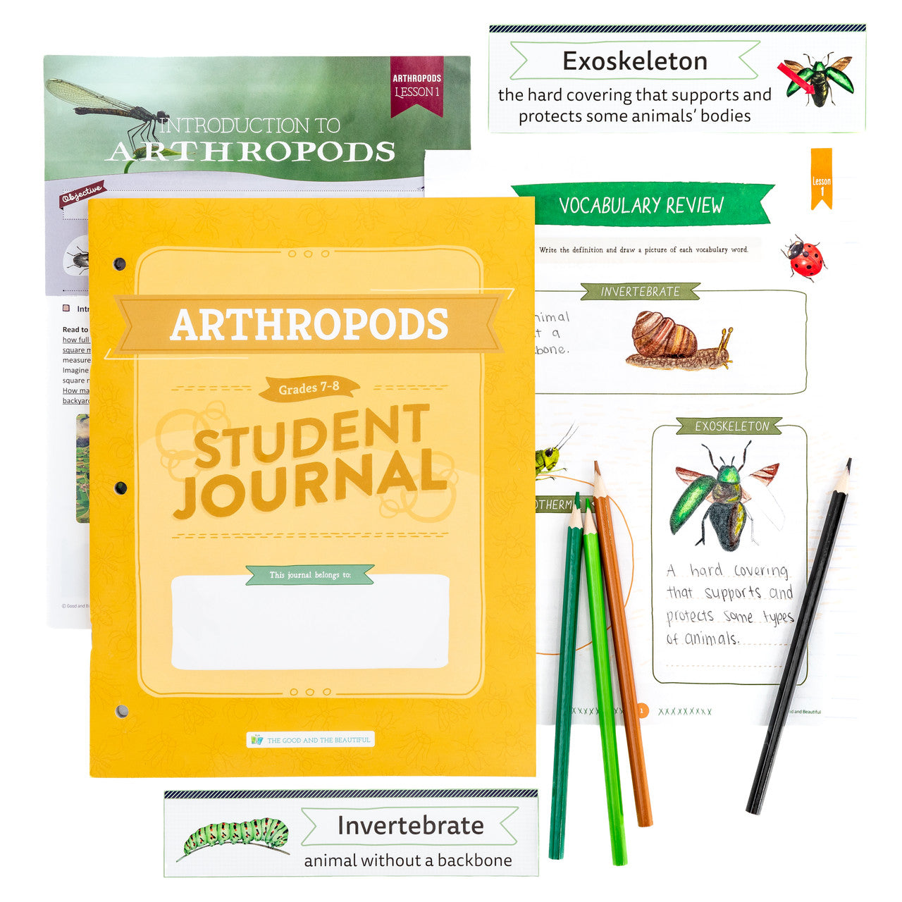 Arthropods – The Good and the Beautiful