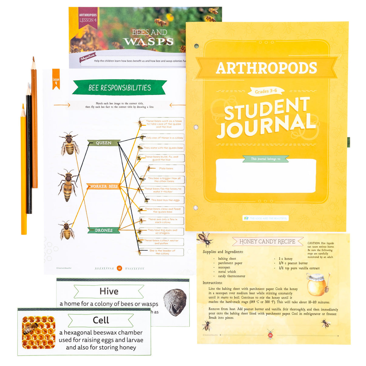 Arthropods: Student Journal Grades 3-6: One Per Student – The Good and ...