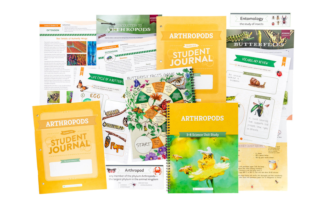 Arthropods – The Good and the Beautiful