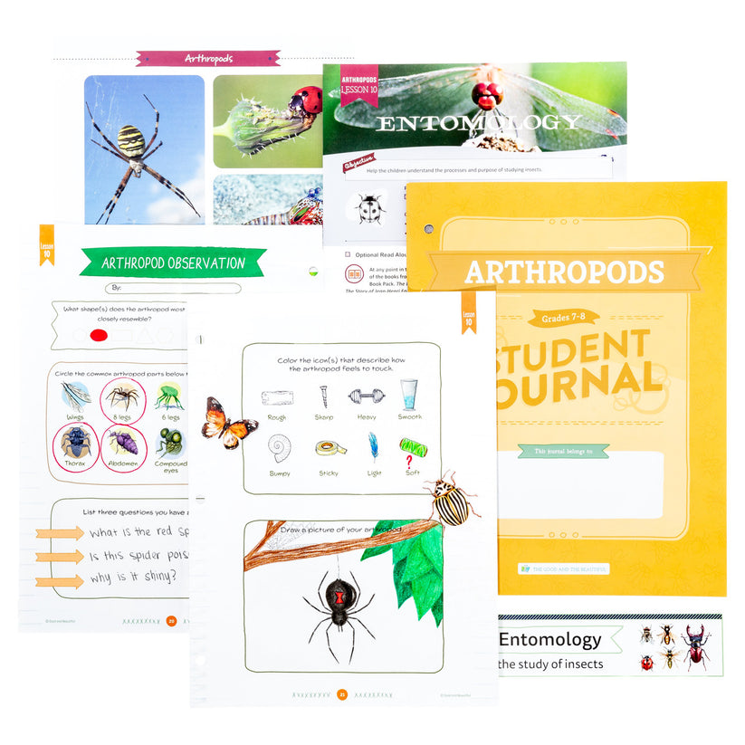 Arthropods – The Good and the Beautiful