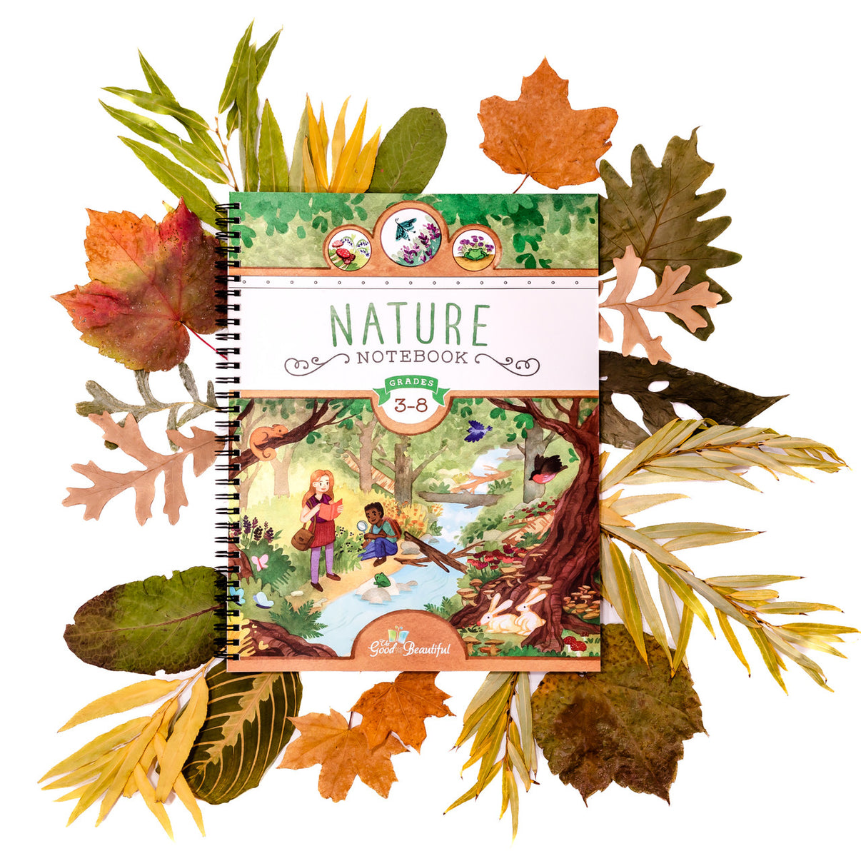 Nature Notebook – The Good and the Beautiful