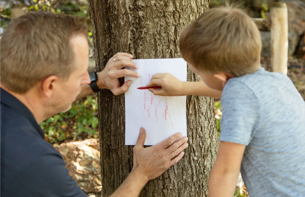 Tree Bark Identification | The Good and the Beautiful