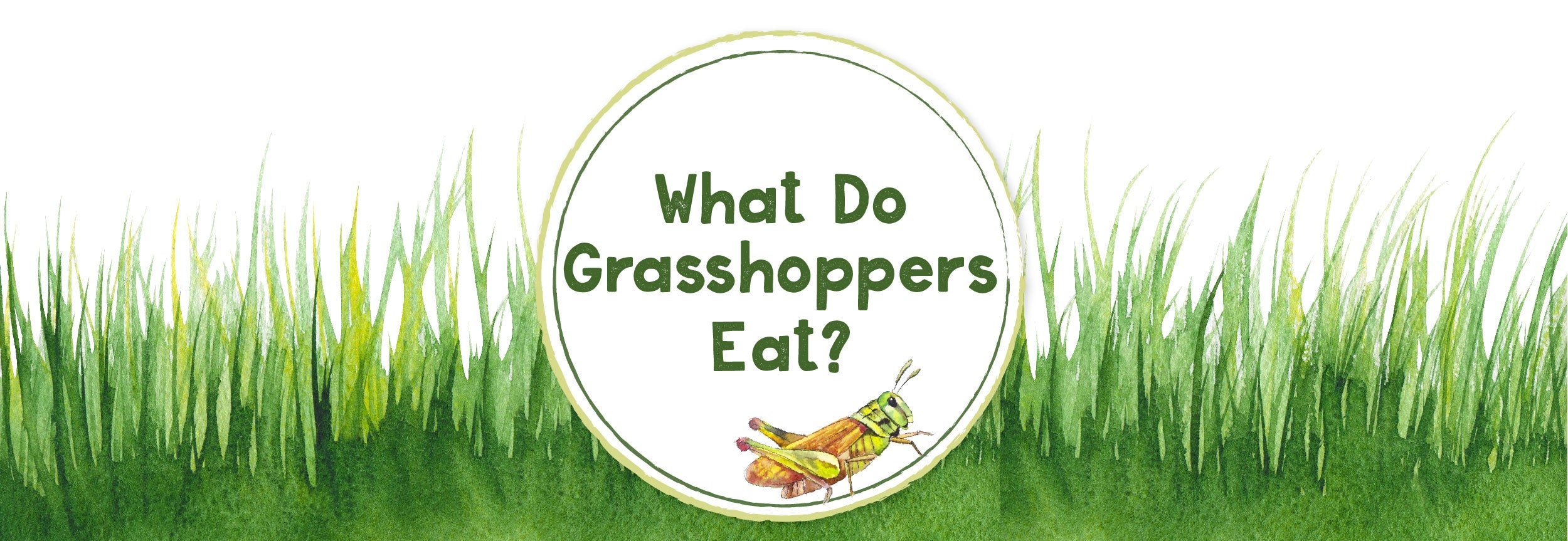 What Do Grasshoppers Eat? | The Good and the Beautiful