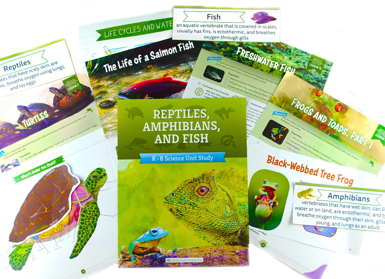 Reptiles, Amphibians, and Fish – The Good and the Beautiful